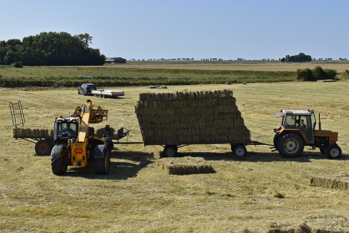 Gastfoto's van Eelco Trijselaar II