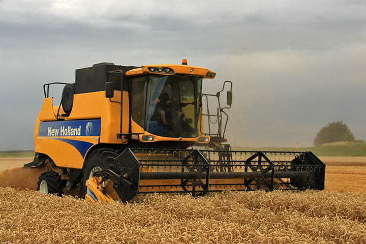 Foto's van Kees de Nood