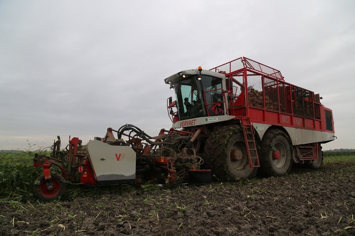 Foto's van Niels van der Boom - 24-10 I