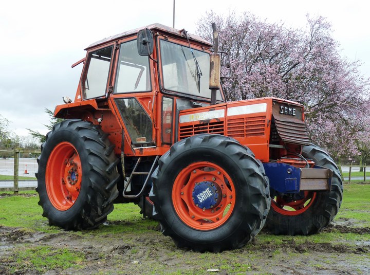 Gastfoto's van David Laley I