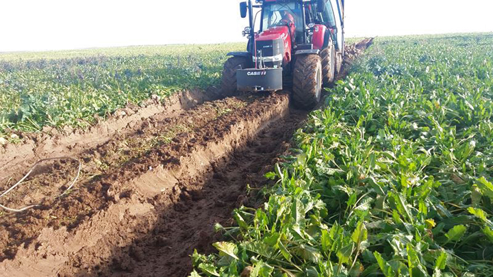 Gastfoto's van Sixto del Cano Gonzalez