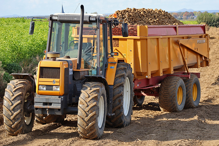 Gastfoto's van Ivo Jacobs