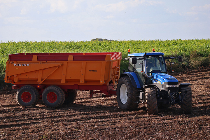 Gastfoto's van Ivo Jacobs