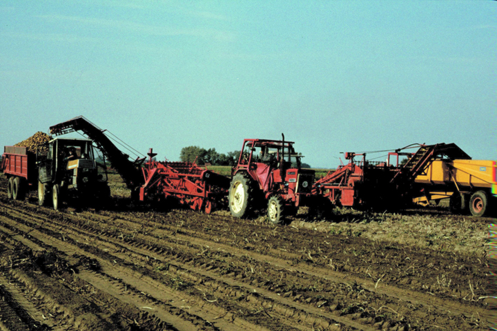Foto's uit de oude doos van: Fam. van der Meer I