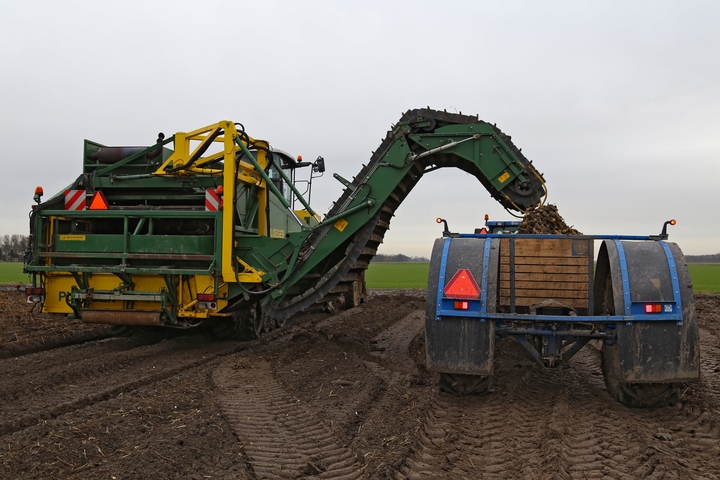 Foto's van Niels van der Boom - 12-12 II