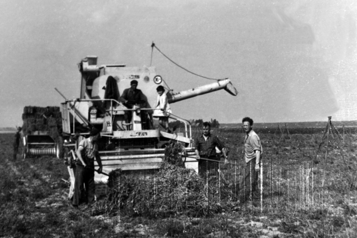 Foto's uit de oude doos van: Fam Janse I