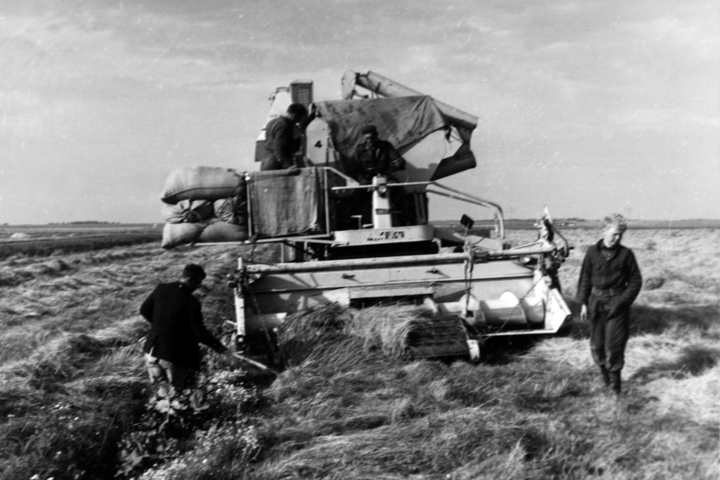 Foto's uit de oude doos van: Fam Janse I