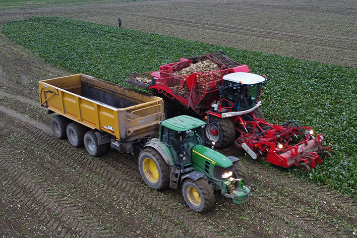 Gastfoto's van Reinout Kruisifikx