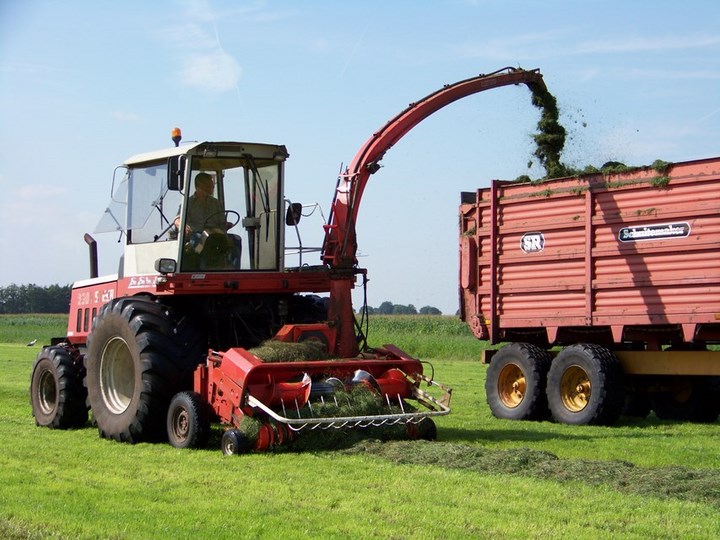 Gastfoto's van Henny Bomans I
