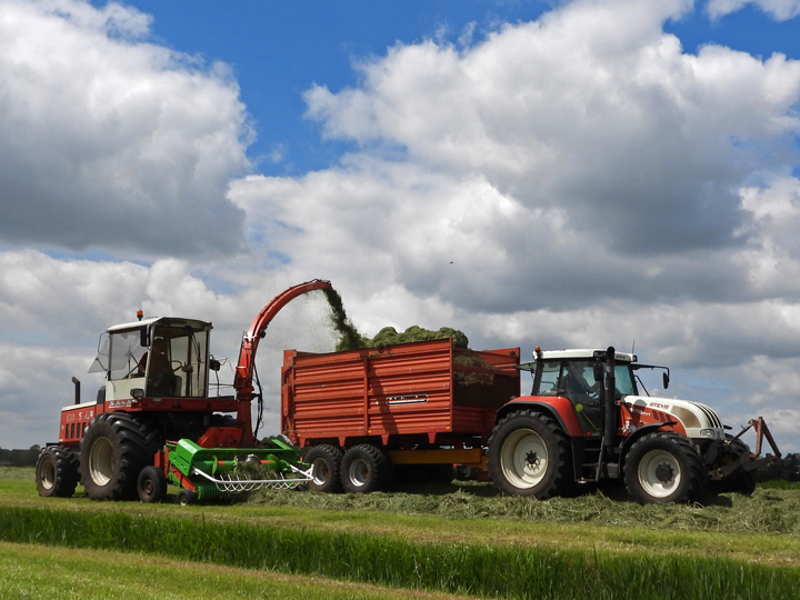 Foto's van Erik Koolhof - 18 tm 21-5