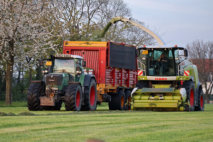 Gastfoto's van Ivo Jacobs IV