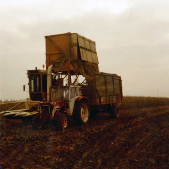 Foto's uit de oude doos van: Fam. Paridaen III