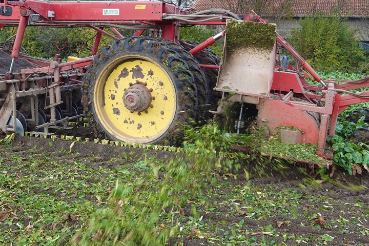 Gastfoto's van Jan Rijpma XII