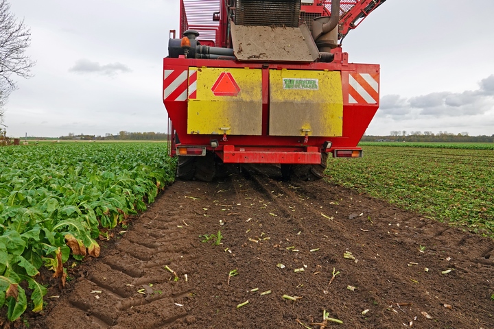 Gastfoto's van Jan Rijpma XII