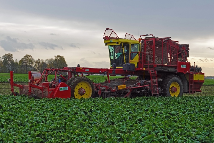 Gastfoto's van Jan Rijpma XII