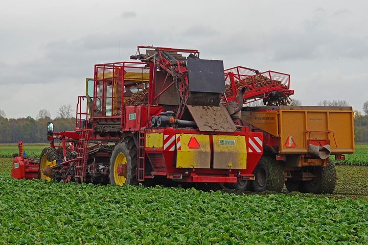 Gastfoto's van Jan Rijpma XII