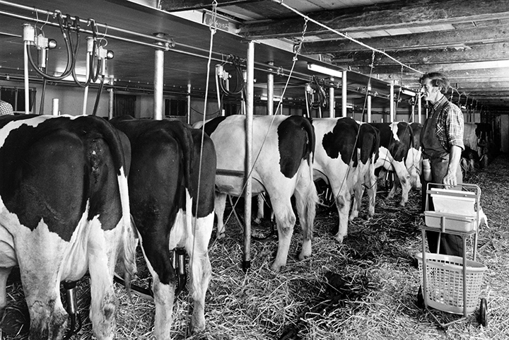 Foto's uit de doos van: Landbouwmechanisatie 1976 III