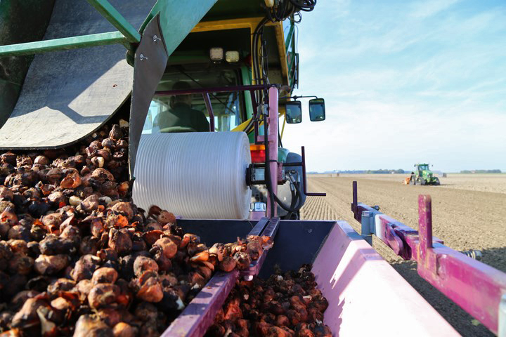 Foto's van Niels van der Boom - 4-10 II