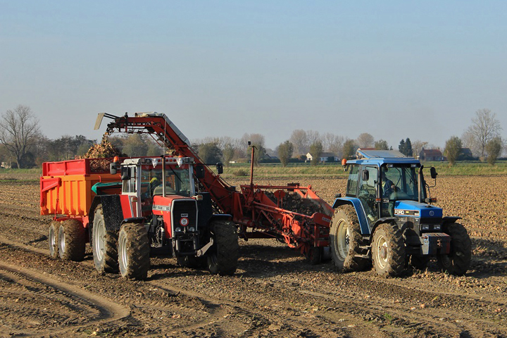 Foto's van Kees de Nood - 7, 8, 9 en 13-11 - Agrifoto.nl