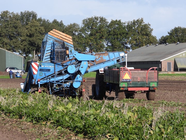 Oldtimer bieten rooien Stichting Bovem - 2022 - Agrifoto.nl