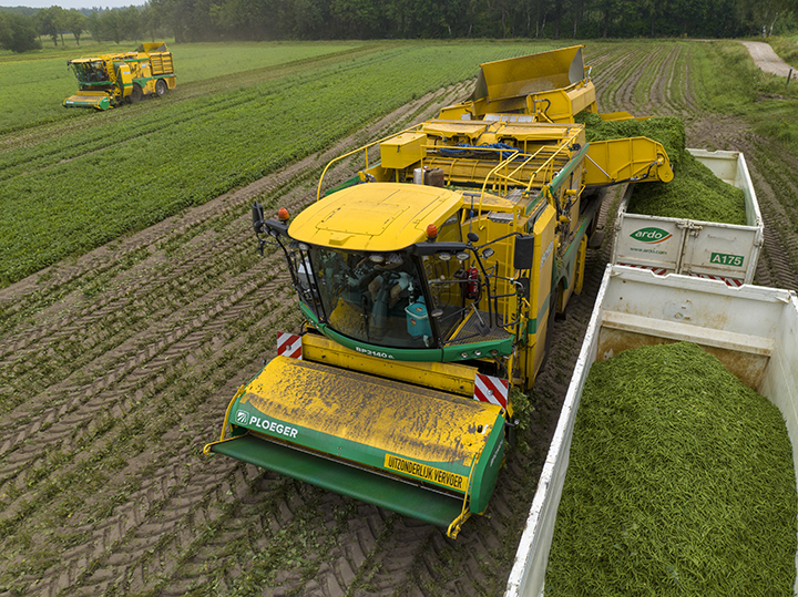 Foto's van Niels van der Boom - 24-8