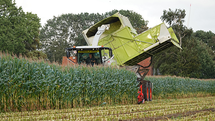 Gastfoto's van Gebr. Kruisifikx