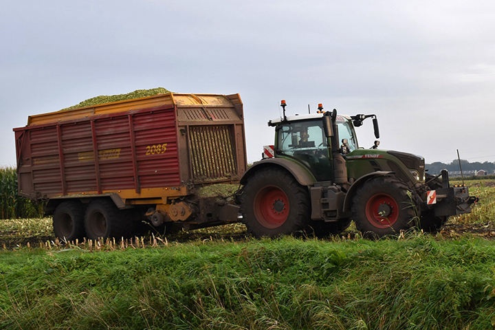 Foto's van Herman Deuling - 10 en 12-10
