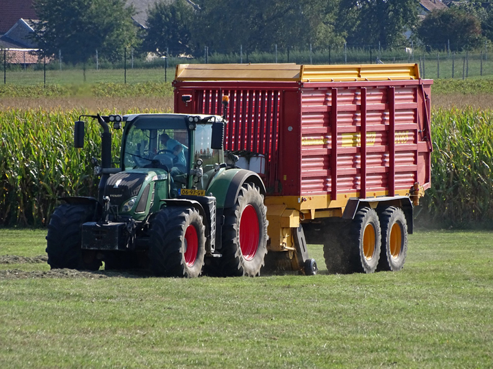 Gastfoto's van Ivo Jacobs V