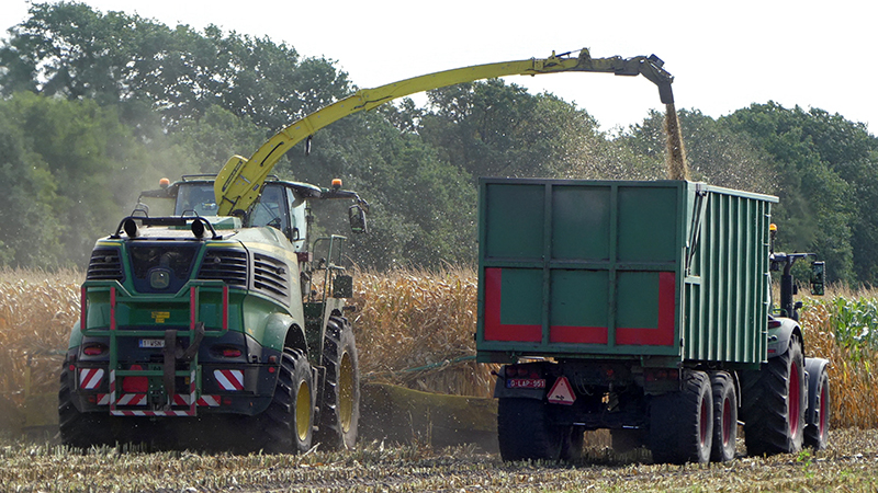 Foto's van Danny van Camp I