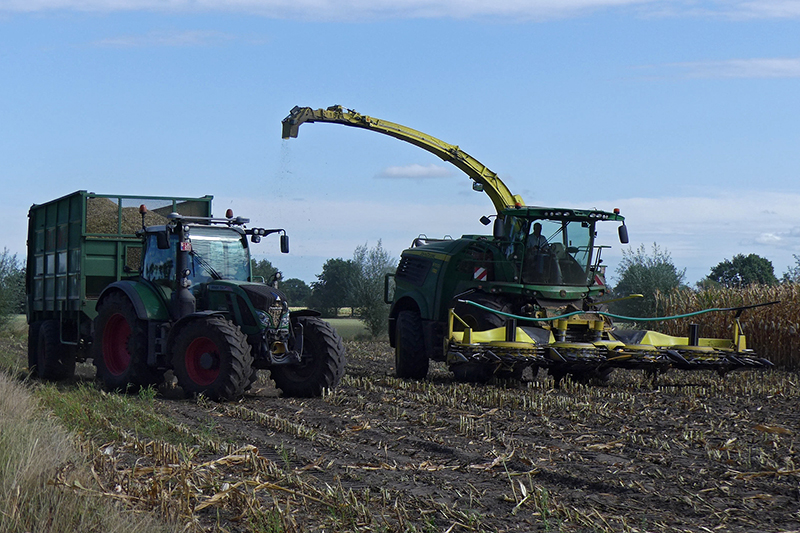 Foto's van Danny van Camp I